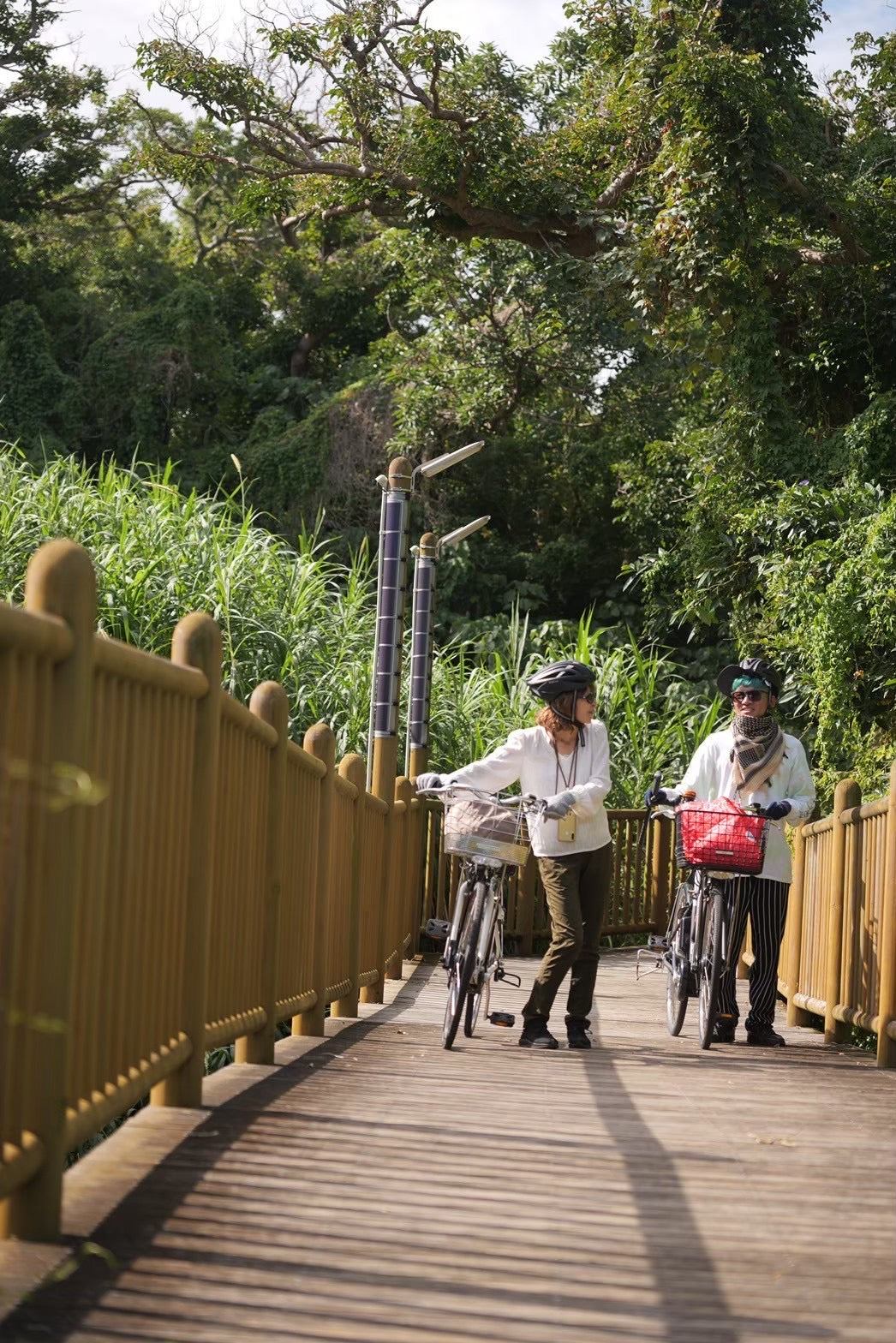 Discovery Bicycle Tours – Discovery bicycle tours