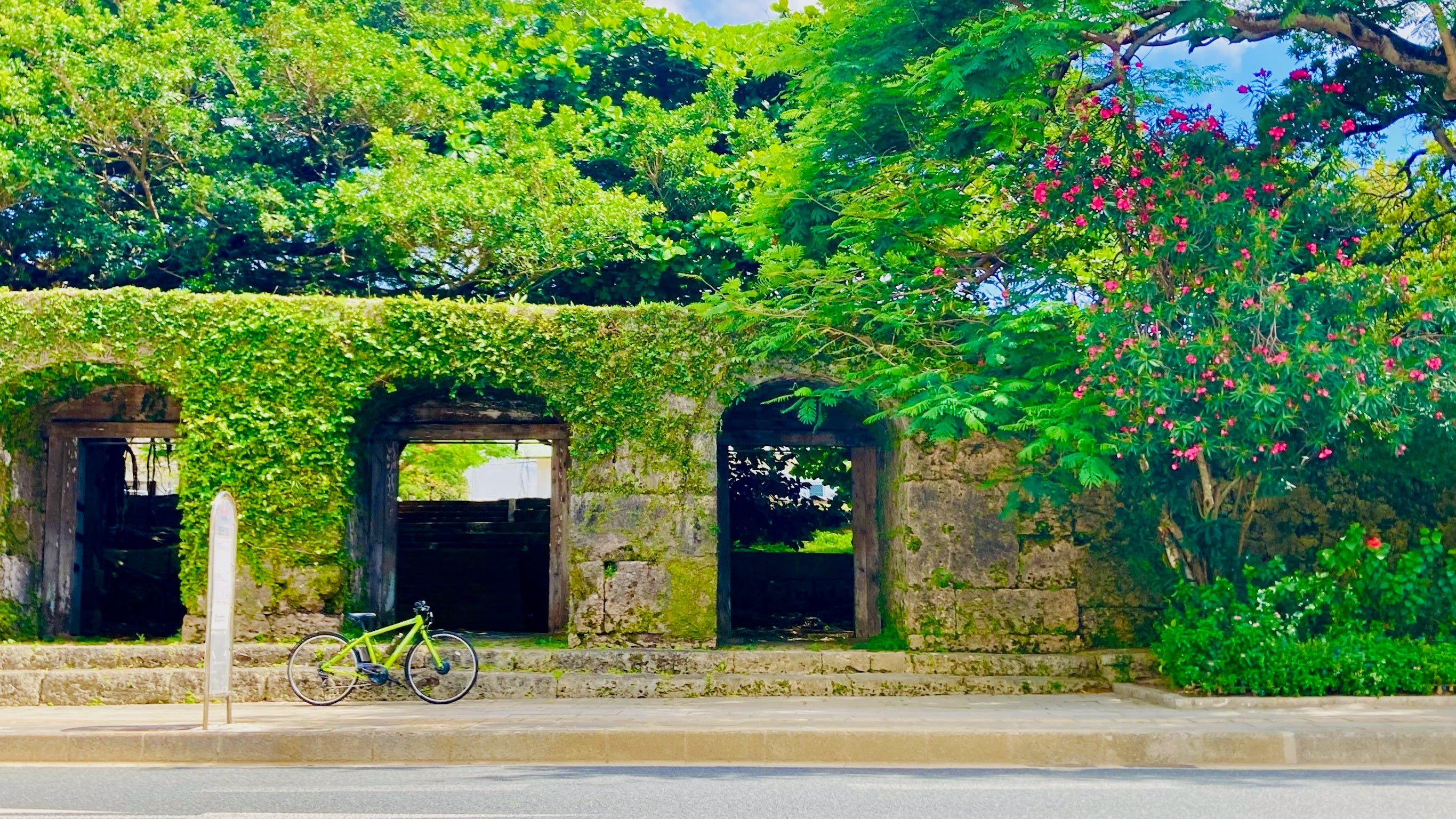 Discovery Bicycle Tours – Discovery bicycle tours